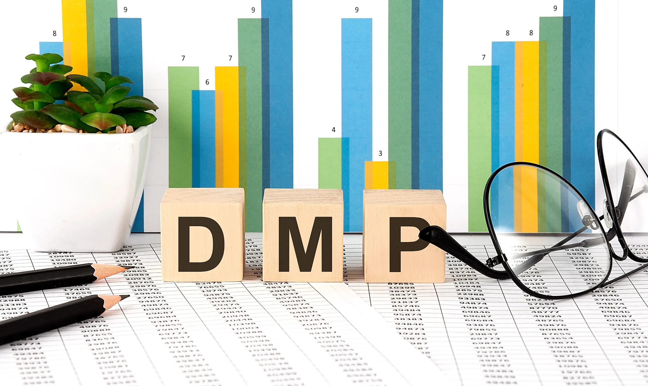 DMPとは？種類から導入ステップ、注意点までを徹底解説